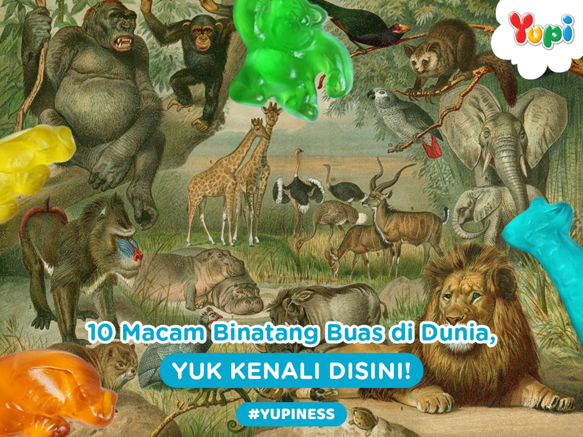Macam Macam Binatang Buas di Dunia, Yuk Kenali Disini!